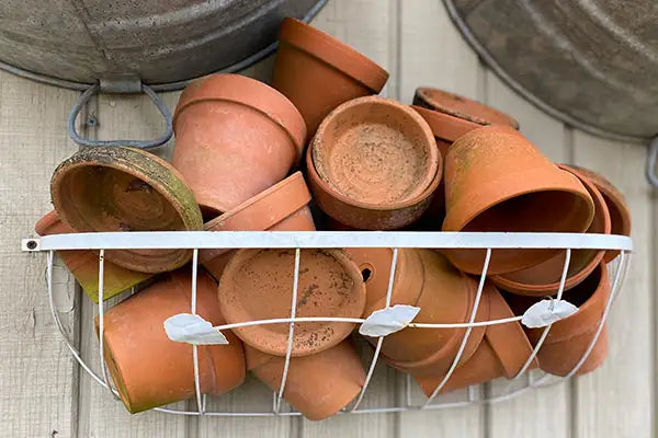 Awaiting Spring – Wholesale Flower Bulbs and Perennials | K. van ...