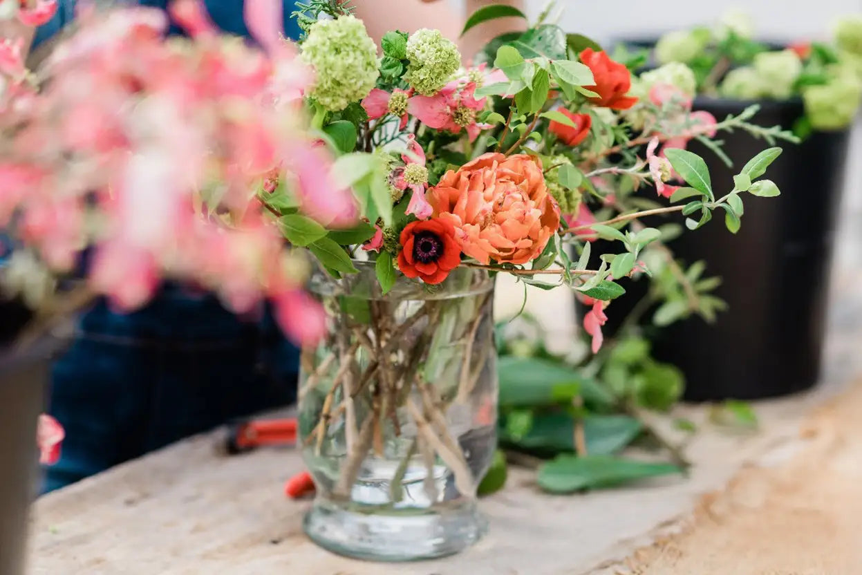 Fall Planting for Spring Blooms | K. van Bourgondien Blog