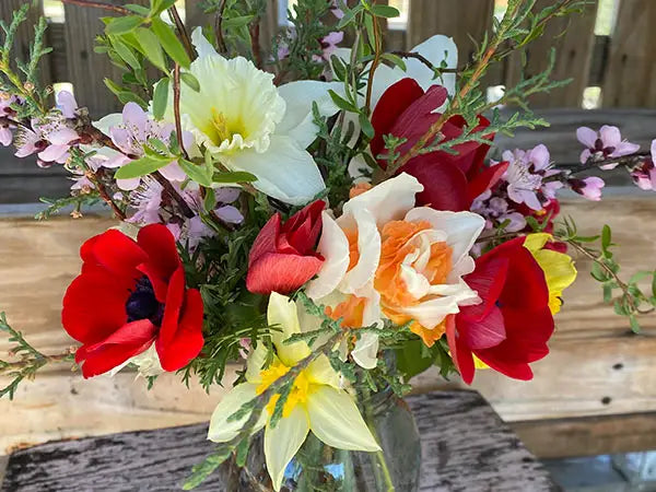 Spring Forth | K. van Bourgondien Blog