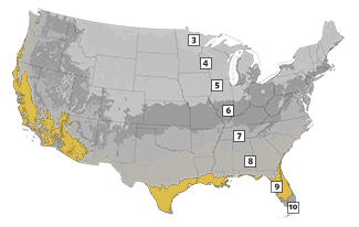Buy Zone 9 Bulbs and Perennials | K. van Bourgondien